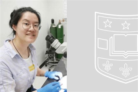 Diabetes Research Center Washington University School Of Medicine In