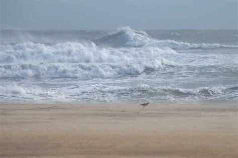 Photos Tropical Storm Ophelia Hits Outer Banks Hampton Roads Daily