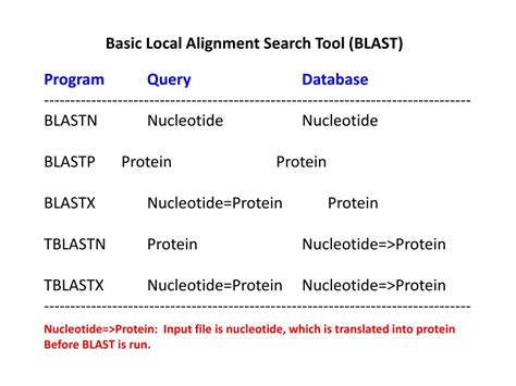 ppt basic local alignment search tool blast program query database