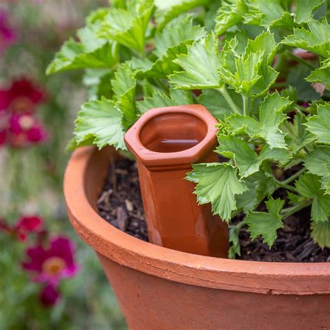Terracotta Watering Spikes Watering Solutuions Sarah Raven