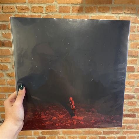 Phoebe Bridgers Punisher” Standard Black Vinyl Depop