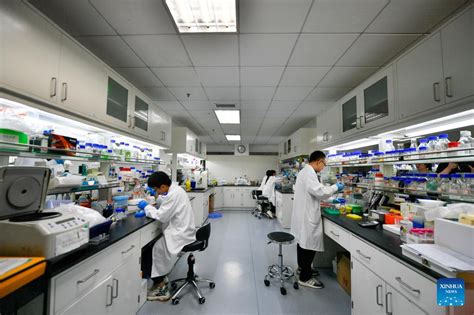 Chinese Scientists Achieve De Novo Artificial Synthesis Of Hexoses From Co2 Xinhua