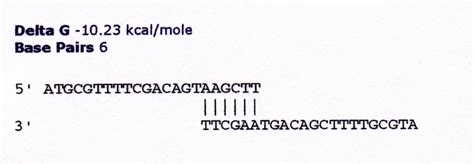 Brilliant Strategies Of Tips About How To Check Primer Dimer Settingprint