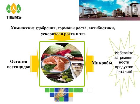 Прибор для очистки овощей и фруктов Озонатор Online Presentation