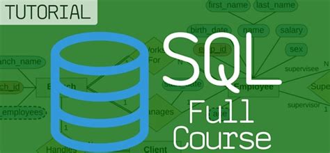 Teach You Sql Python Machine Learning And Data Science By
