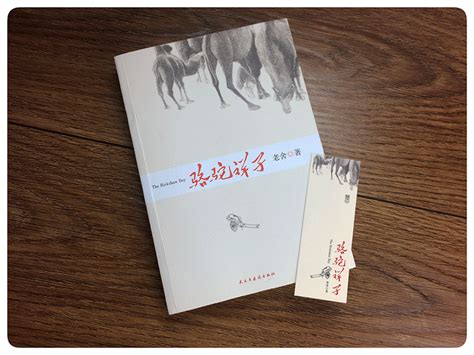 【4本38元专区】正版骆驼祥子老舍本书还收录了另一部长篇小说《二马》初中课文名家经典l虎窝淘