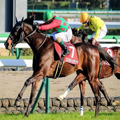史上初の父仔3代皐月賞制覇へ コスモキュランダがモレイラ騎手とチャレンジ 2024年4月10日掲載 ライブドアニュース