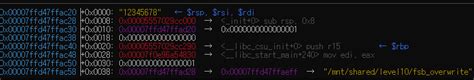Exploit Tech Format String Bug