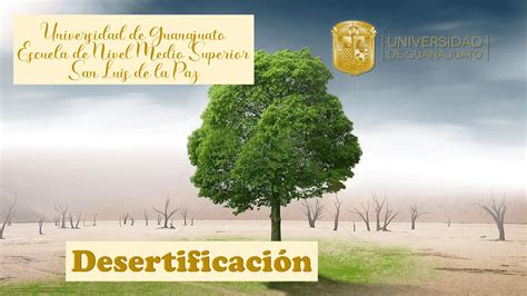 Desertificación Desafíos Globales Y Soluciones Sostenibles Para Un