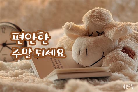 즐거운 토요일 주말 아침 인사말 이미지 모음 일요일 인사문구