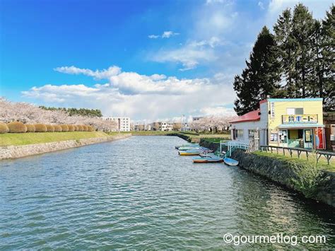 函館五稜郭タワーから見た満開の桜の写真を徹底紹介！北海道の五稜郭公園サクラ観光情報 ラグジュアリーライフ