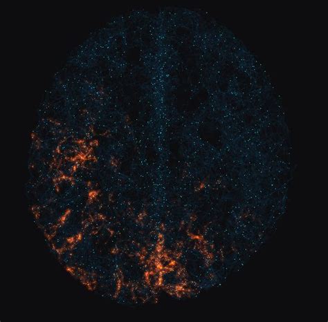 Brain Network Visualization