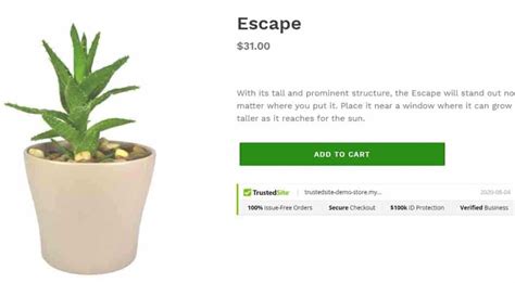 Essential Shopify Trust Badges For Your Store In