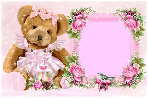 Sinnlichs Girly Girl Frames 2021 2022 Pink Teddy Sinnlich Roses
