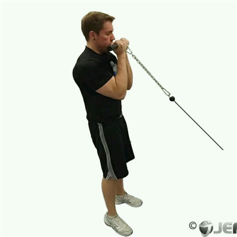 CM Standing Close Grip Bicep Curl With Bar By Pavel B Exercise How To Skimble