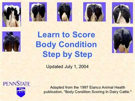 Learn to Score Body Condition for Dairy Cows