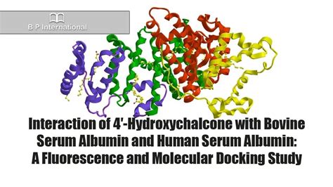 Interaction Of 4′ Hydroxychalcone With Bovine Serum Albumin And Human