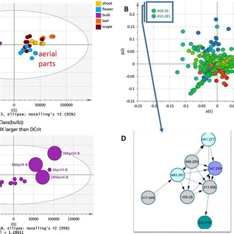 A Hca Plot Generated From The Opls Da Model And B Opls Da Scores Download Scientific