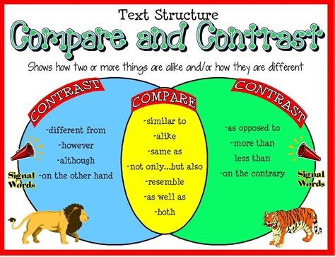 Compare And Contrast Venn Diagram Example Writing A Compare