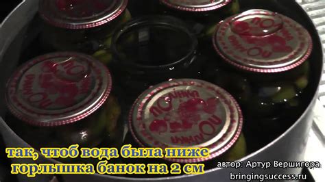 Консервированные сливы без косточек (Домашняя заготовка на зиму видео ...