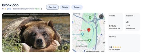New Google Maps Interface Within Google Search Results