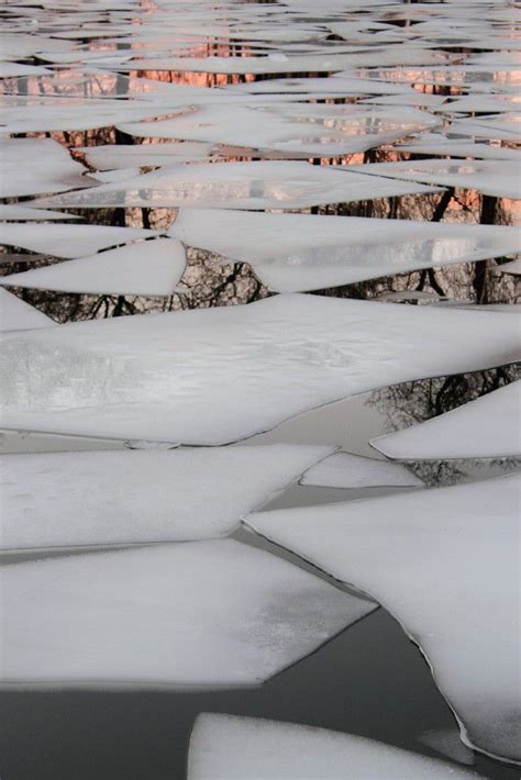 Épinglé par Nany sur Hiver Brouillard Gel Brume Glace Neige
