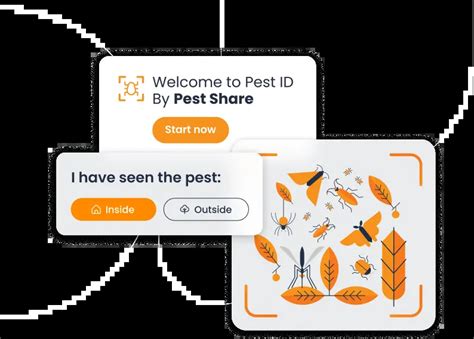What Causes Termites Unraveling The Hidden Culprits Behind Termite