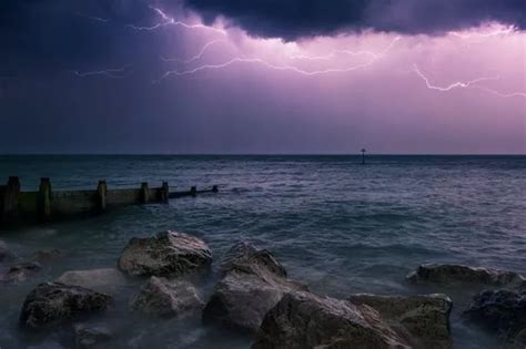 Thunder Bugs Warning How To Rid Your Garden Of Flying Pests Amid Hot