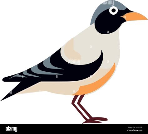 Cute Bird Design Stock Vector Image And Art Alamy