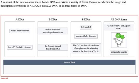 solved as a result of the rotation about its six bonds dna