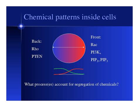 Diffusion Reaction And Biological Pattern Formation