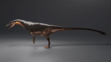 Coelophysis Bauri Finished Projects Blender Artists Community