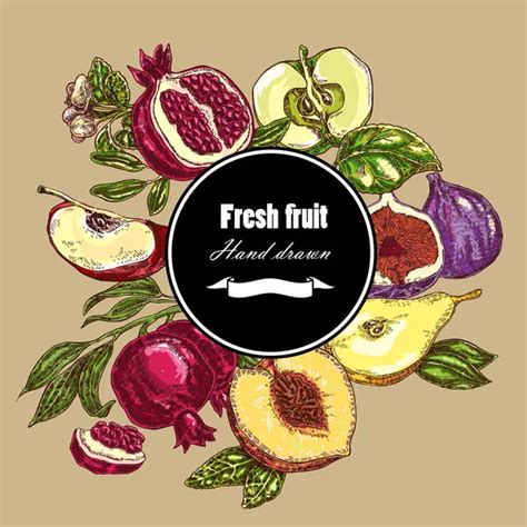 100 000 Hand Drawn Fruits Vector Images Depositphotos