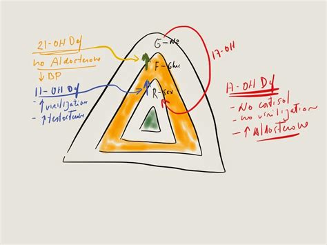 Medical Mindmaps For Usmle Step 1 Adrenal Steroids