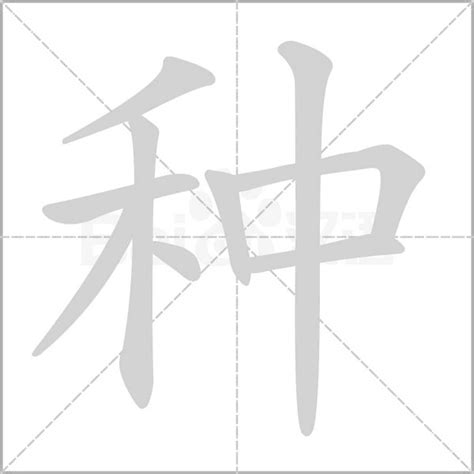 种字笔顺笔画顺序种的笔顺怎么写正确种字怎样写好看种字拼音部首字帖汉字笔顺查询网