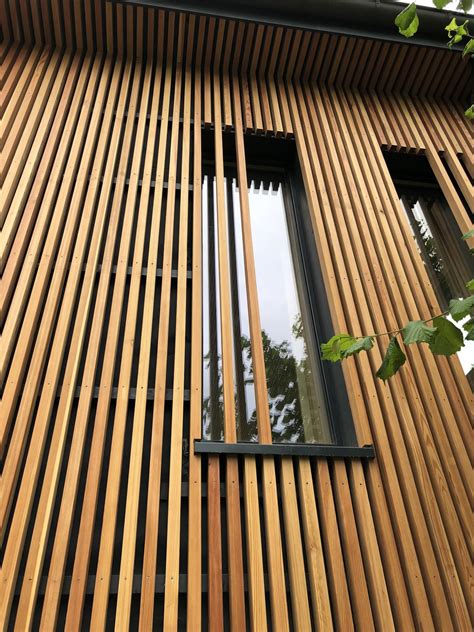 Timber 🌲 Siberian Larch Elegance 🌲 Check Out This Stunning Vertical