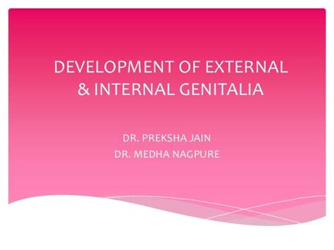 Development Of External And Internal Genitalia By Drpreksha