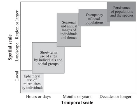 Llustrative Example Of The Link Between Different Spatial And Temporal