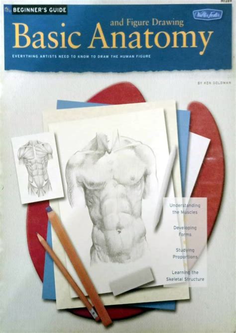 beginner s guide basic anatomy and figure drawing sellular bd