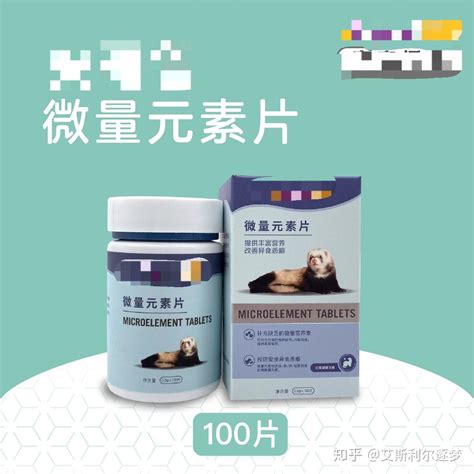 新手快速入门教你从选貂到养貂的个人经验分享 知乎