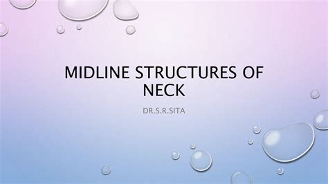 Midline Structures Of Neck Anatomy Powerpoint Pptx