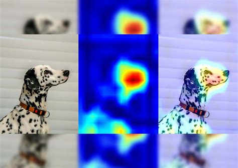 Programmer Facilement Gradcam Au Cœur De Vgg16