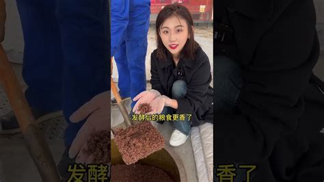 北京红星二锅头酒是如何酿造的快来北京二锅头酒博物馆看看吧 纯粮酒 红星二锅头 北京 YouTube
