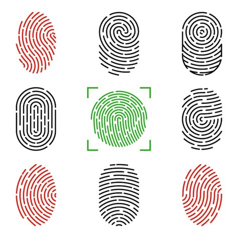 Premium Vector Set Of Vector Illustrations Of Security Fingerprint