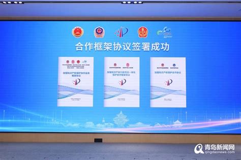 构筑知识产权大保护格局 织密青岛优化营商环境“支撑网” 青岛新闻网