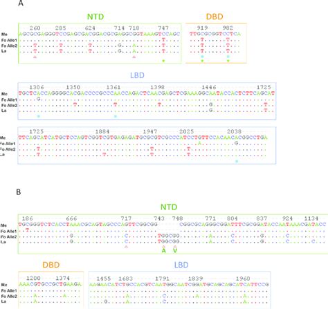 polymorphic nucleotide positions in the coding region of arα a and