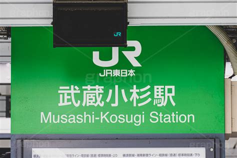 Jr