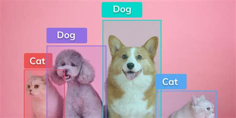 Paco Lvis Dataset Kaggle