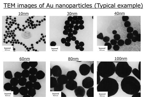 Au Nanoparticle