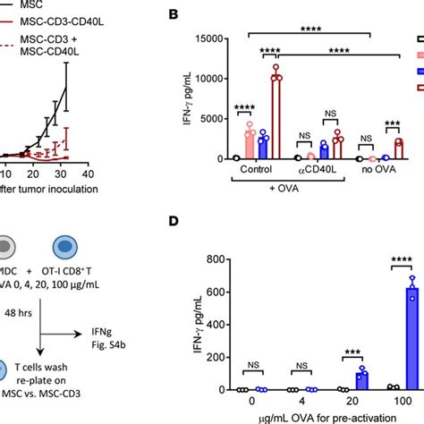 Exogenous Tcr Engager Compliments Endogenous Antigen Presentation For